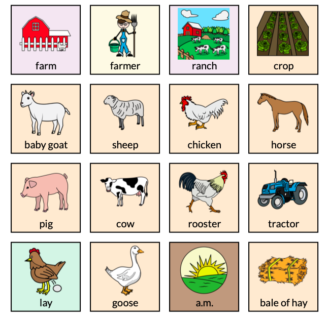 How to Make Student Specific Visual Supports - Mrs. Moe's Modifications