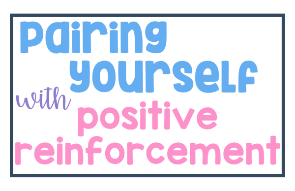 Number One Behavior Tip: Self Regulation - www.mrsmoesmodifications.com