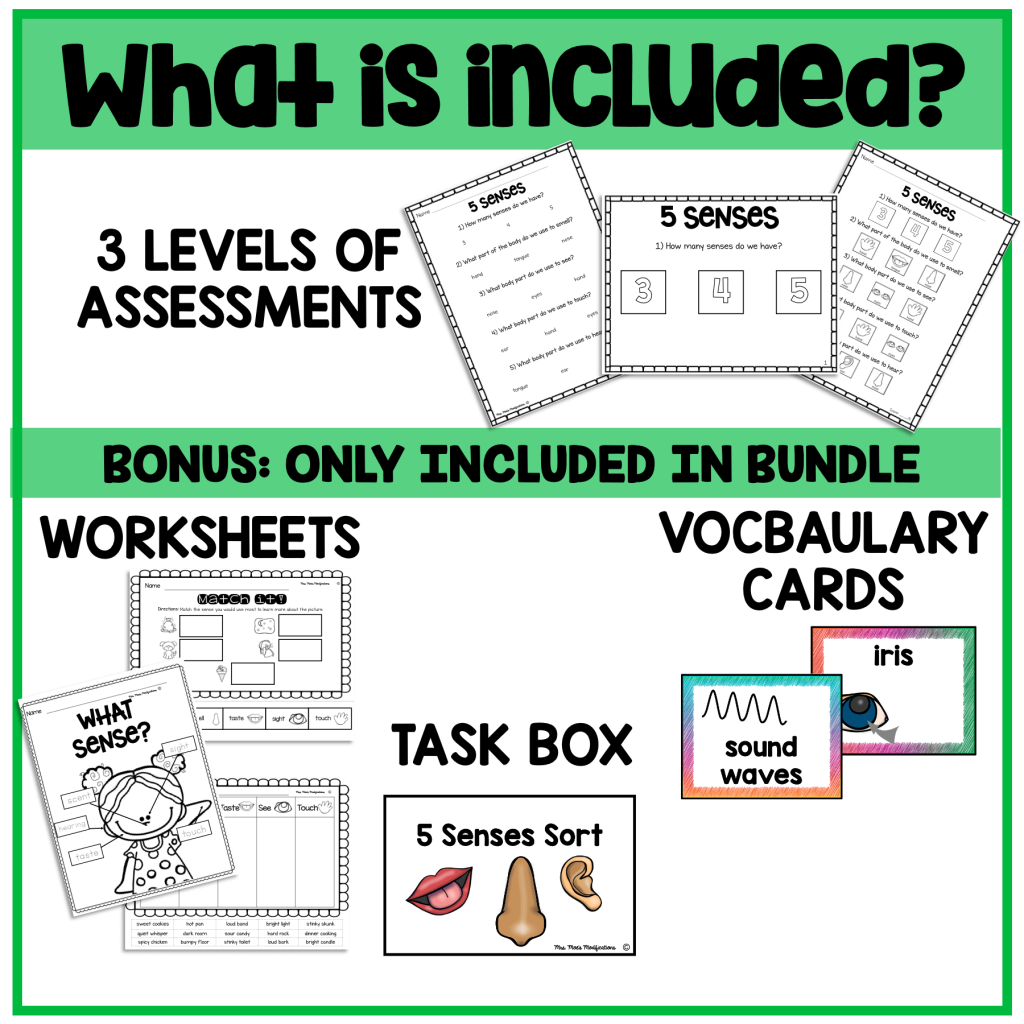 5 Senses Adapted Book BUNDLE - Mrs. Moe's Modifications